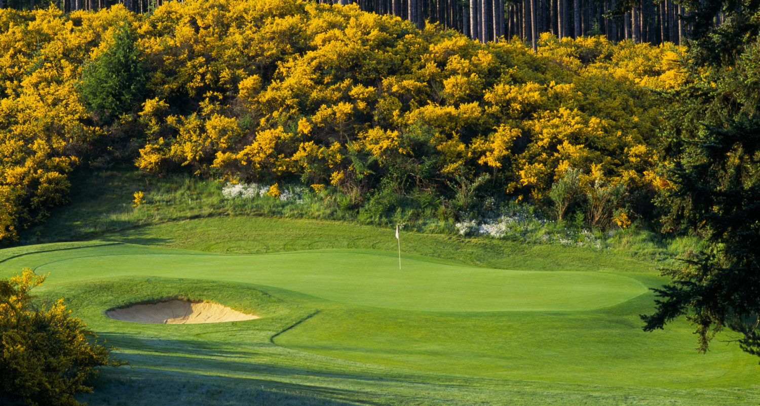 Gold Mountain Olympic Course - Bremerton, WA - Gold Mountain Golf Club