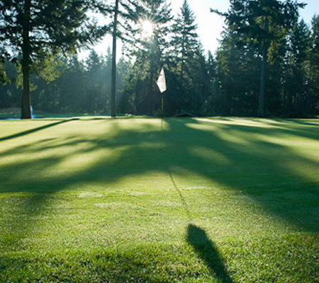 Washington Golf Courses - Gold Mountain Golf Club, Bremerton, WA