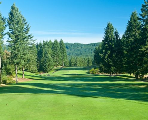 Washington Golf Courses - Gold Mountain Golf Club, Bremerton, WA