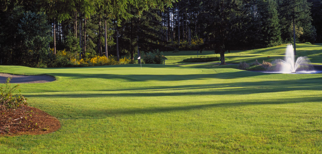 Gold Mountain Golf Club - Gold Mountain Golf Club