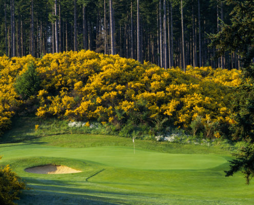 Washington Golf Courses - Gold Mountain Golf Club, Bremerton, WA