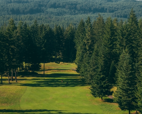 Golf Courses Washington State, Gold Mountain Golf Club Photo Gallery