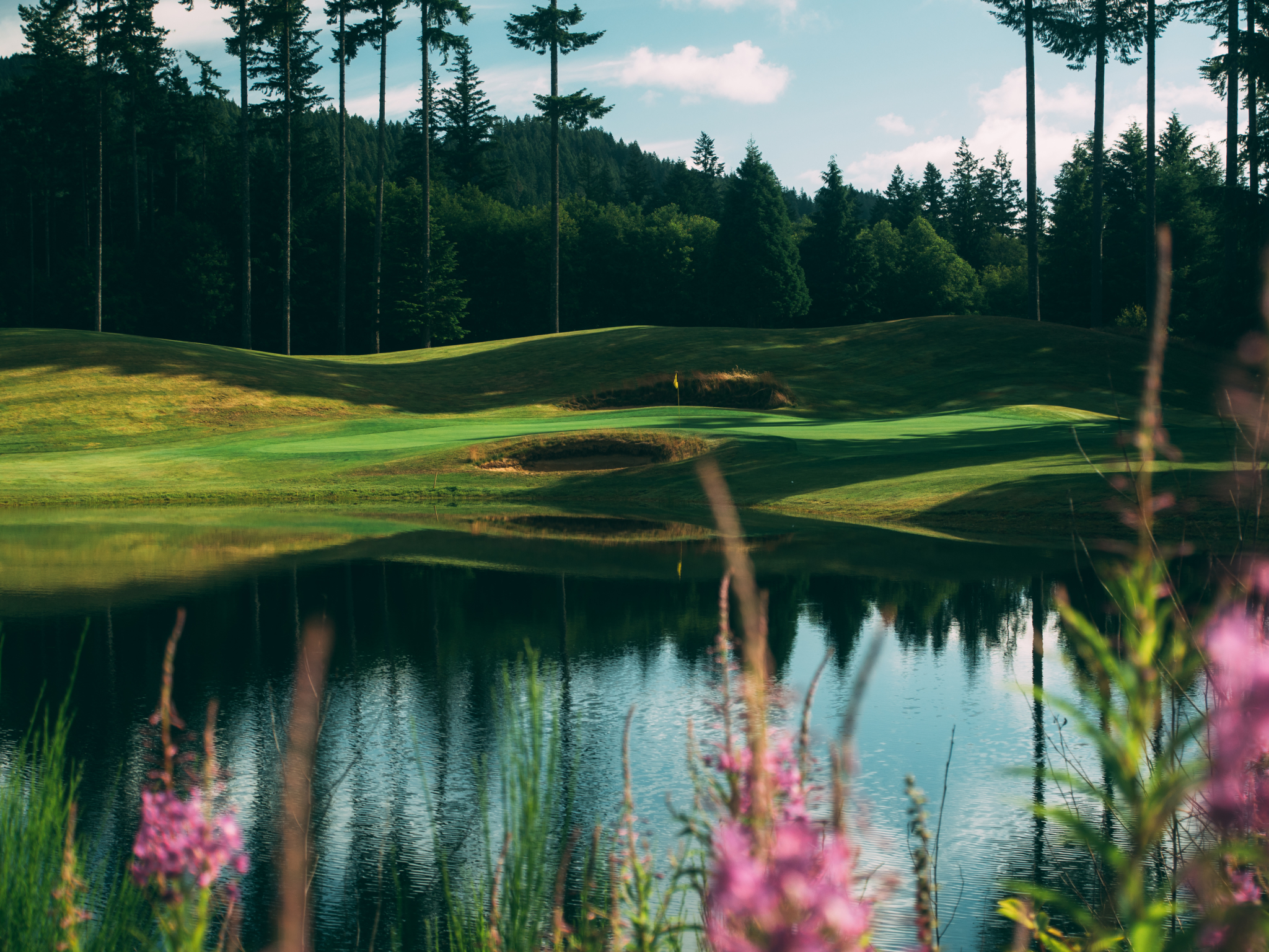 10 Round Punch Card Senior 62+ - Gold Mountain Golf Club
